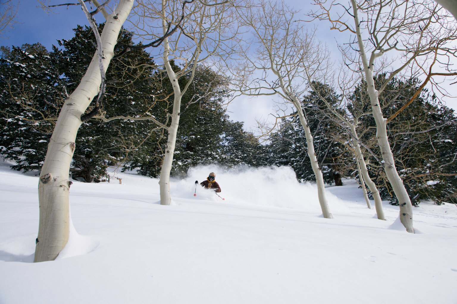 700 Inches: A New Record - Solitude Mountain Resort Blog