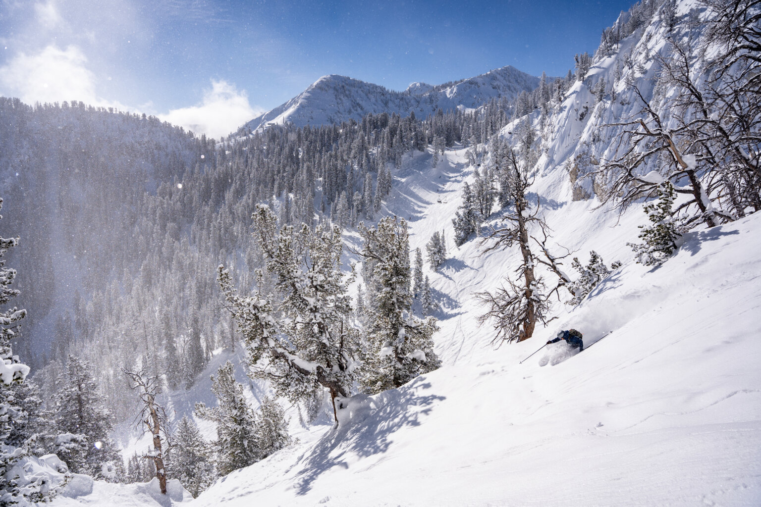 700 Inches: A New Record - Solitude Mountain Resort Blog