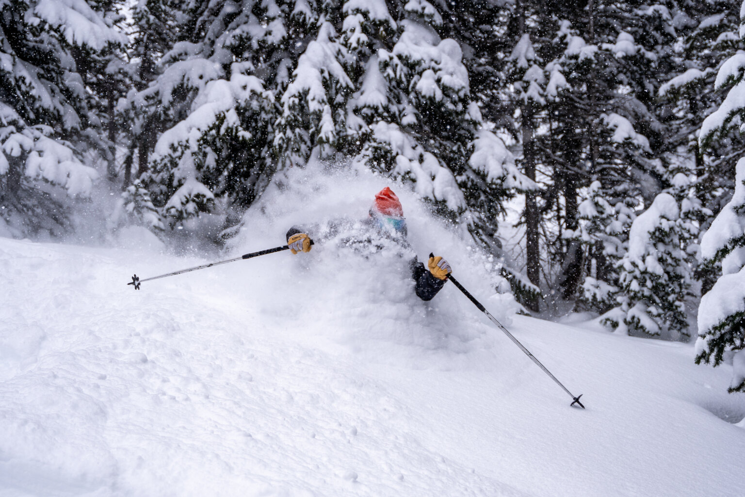 700 Inches: A New Record - Solitude Mountain Resort Blog